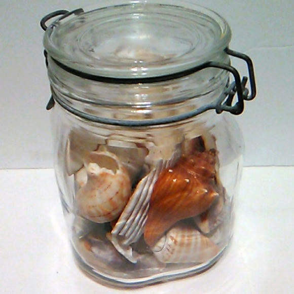 Accents | Clear Glass Canister With Shells | Poshmark